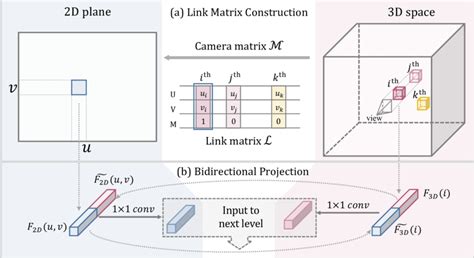 Bidirectional Projection Module Bpm The Link Matrix Construction