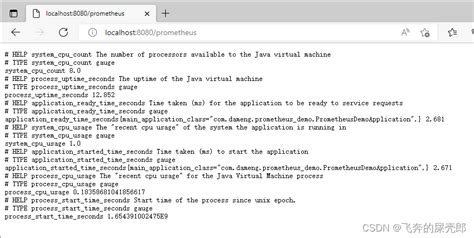 Spring Boot开发prometheus的自定义exporter组件meterbinder Csdn博客