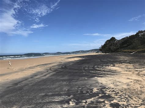 Handy Angular Csv To Json Pipe Tekonline