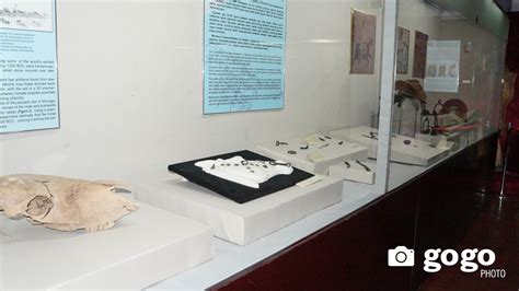 “Монгол адууны өв соёл” үзэсгэлэн нээлтээ хийлээ