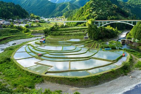 【1分で巡る絶景】迷路のように入り組んだ水田が美しい棚田「あらぎ島」 Aumo【アウモ】 美しい景色 美しい風景写真 棚田
