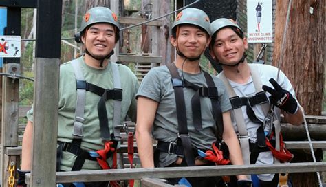 Treetop Challenge Adventure Park Tamborine Mountain FIT Travel Australia