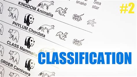 linnaean system of classification forestrypedia