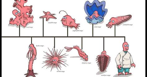 Favorite Futurama Episode Larval Stages Of Dr Zoidberg Imgur
