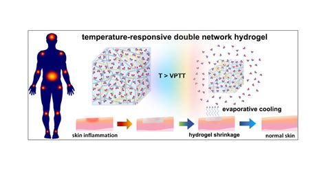 Temperature Responsive Double Network Cooling Hydrogels Acs Applied