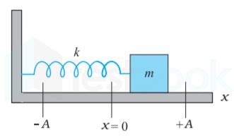 Solved The Angular Frequency Of A Spring Mass System Depends On The
