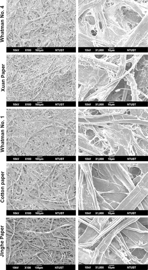 Sem Imaging Of Substrate Surface Morphology For Each Paper Substrate At Download Scientific