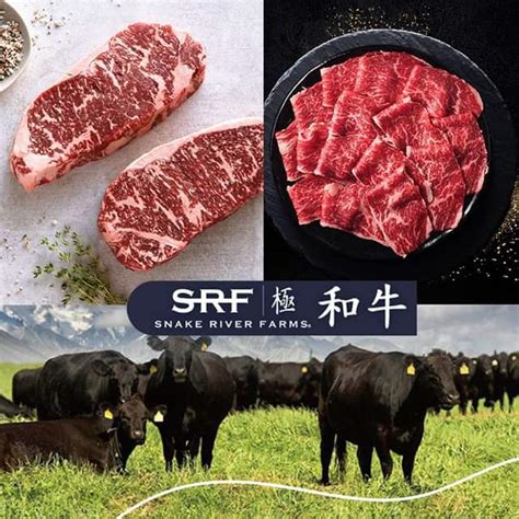 美國srf極黑和牛的介紹