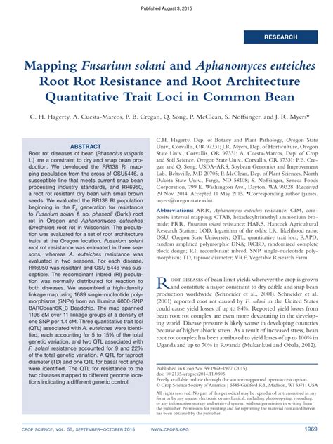 Pdf Mapping And Root Rot Resistance And Root Architecture