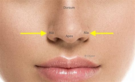Botox Nose Slimming Phx Botox Nose Job Phoenix