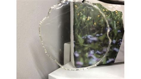 New Route To Recyclable Polymers From Plants Technology Networks