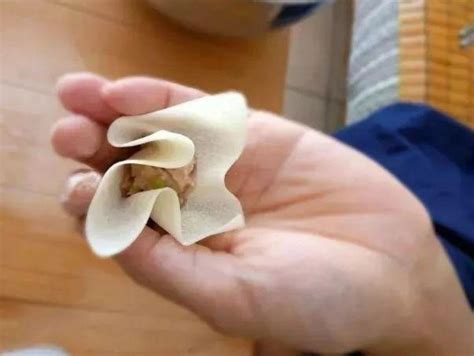 餛飩、抄手、雲吞……全國最經典的十大包法全在這裏…… 每日頭條