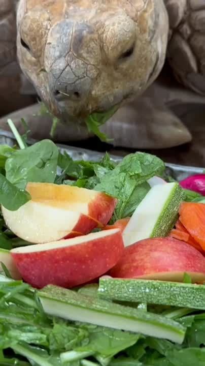 Basel Vasili Nassar Posted On Linkedin