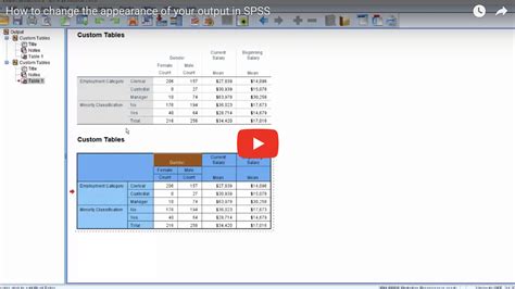 How To Change The Appearance Of Your Output In SPSS Statistics Smart Vision Europe