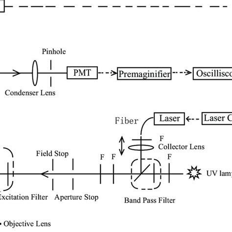 Schematic Of The Frap Apparatus Download Scientific Diagram