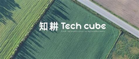 植物基因编辑育种