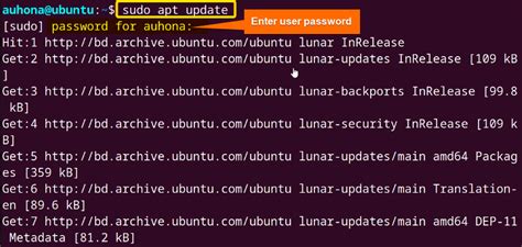 Update Packages In Linux Linuxsimply
