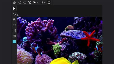 Video Superannotate On Linkedin Sam Datalabeling Trainingdata