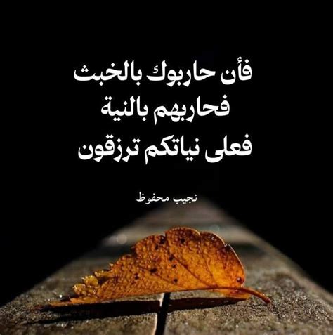 الريفى الصيف ده محتاج الريفي 🌊 أجمل الأوقات مع أطعم الأكلات المصرية