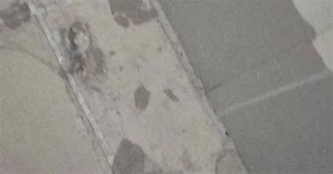 일단 저희가 방문할수 없는 상황이었는데 수시로 사진으로 진행상황을 공유해주시면서 꼼꼼하게 진행해주셔서 너무 만족합니다 청소도