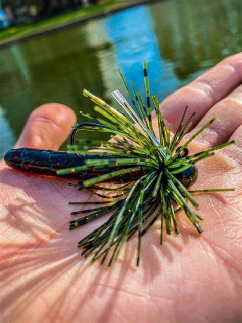 The Best Lures For Catching Bass In Ponds 6 Baits That Work All Year Long