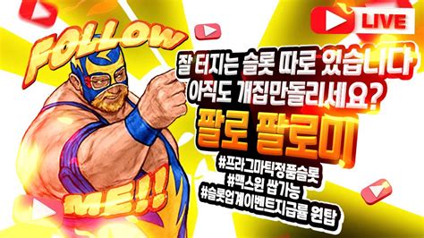 슬롯실시간 슬롯팔로미방송팔로팔로미 슬롯 슬롯게임 온라인슬롯 슬롯방송 슬롯라이브 슬롯생방송 강원랜드 슬롯팔로미 Youtube