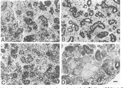 Figure 1 From Microwave Energy Fixation For Electron Microscopy Semantic Scholar