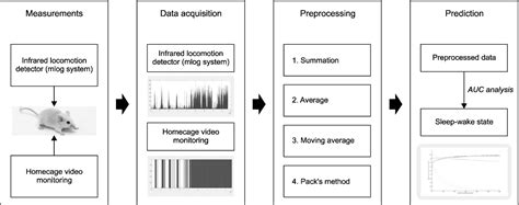 Figure 1 From Prediction Of Locomotor Activity By Infrared Motion Detector On Sleep Wake State