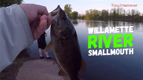 Willamette River Smallmouth Bass Fishing Bass Manager The Best Bass