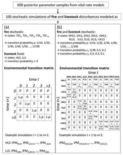 Description Of Stochastic Simulations Used To Model The Effects Of Fire