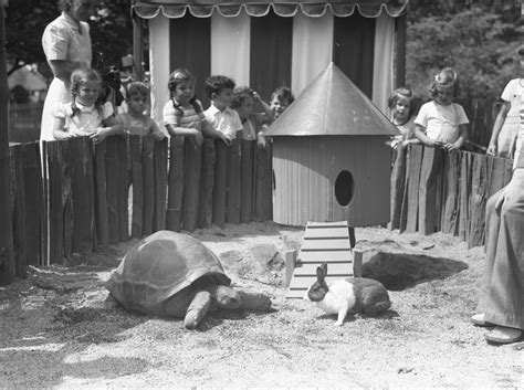 Wcs Archives Blog Wildlife Conservation Society Archives