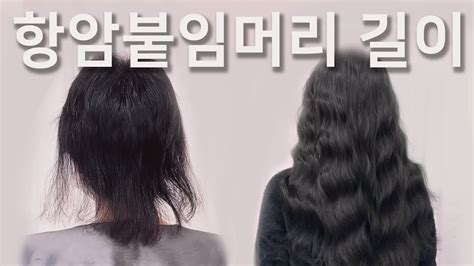 항암붙임머리 길이별 소개와 붙임머리컷을 했을경우 주의사항을 알고시작하자단발 중단발 긴머리웨이브 Youtube