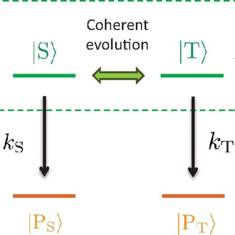 Standard Radical Pair Reaction The Spin State Of The Radical Pair Download Scientific Diagram