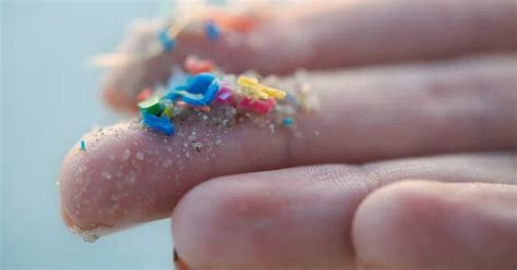 میکرو پلاستیک‌ ها،نانوپلاستیک ها و پوست دکتر مهدی شیری