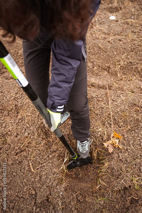 Tree Planting Event Environmental Action To Create A Forest By Planting Oak Tree Sapling Close
