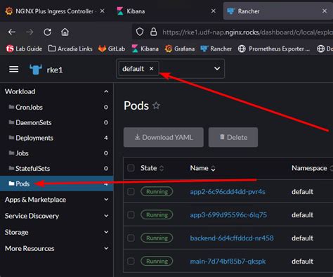 Step 1 Deploy Arcadia Finance Application In Kubernetes — Nginx App