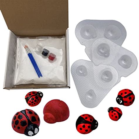 Ladybug Science Activities