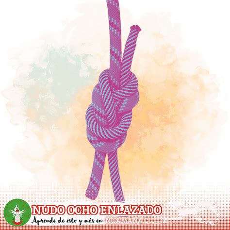 Nudo Ocho Enlazado • Guías Y Scouts Nua Mana