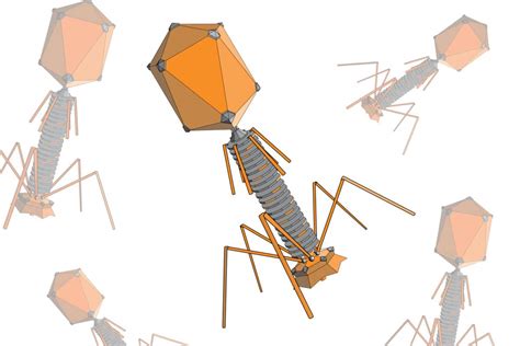 Phage Based Diagnostics Pbd Biotech