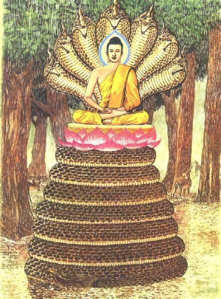 ประวัติ พญามุจลินท์นาคราช และ เรื่องเกี่ยวกับพญานาคตนอื่น