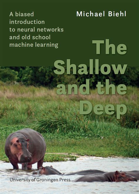 The Shallow And The Deep A Biased Introduction To Neural Networks And
