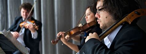 String Quartet For Corporate Functions String Musicians Australia