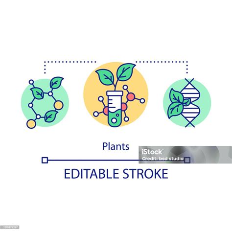 식물 개념 아이콘입니다 표지판의 인공 선택 새로운 품종을 사육 유전 공학 생명 공학 아이디어 얇은 라인 그림 벡터 절연 윤곽선