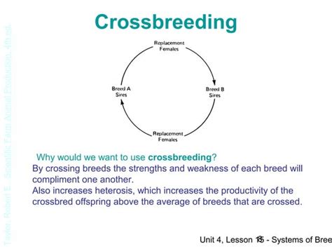 MATING SYSTEMS PPT Genetics Science