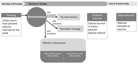Randomization Procedure Download Scientific Diagram