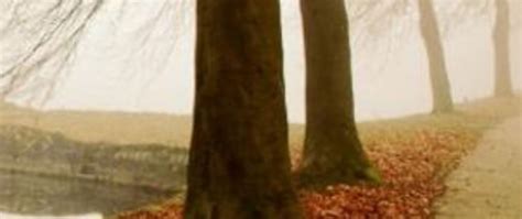 How To Compute Arbitrary Precision Transcendental Numbers Dev Community