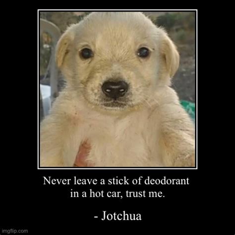 Jotchua Memes GIFs Imgflip