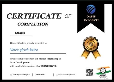 Connections Oasisinfobyte Javadevelopment Intership Opportunity Netra Katre