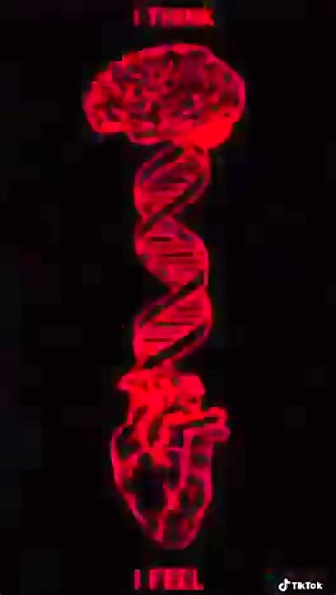 نگاه های ترسناک انیمه ها