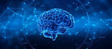 Premium Photo Digital Brain Artificial Intelligence Ai Machine Learning Business Technology